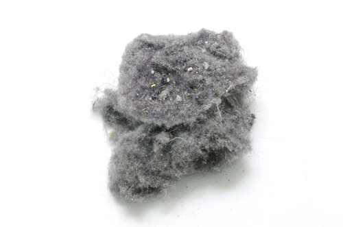 How Dust Mites Affect Your Indoor Air Quality