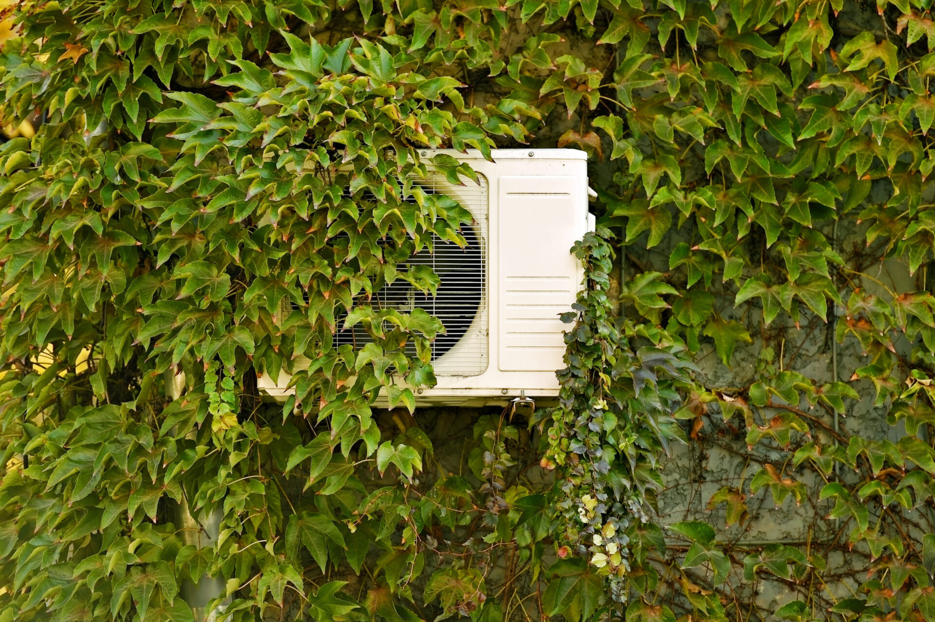 What External HVAC Threats Could Be on the Horizon?